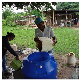 Potencia tus cultivos de forma natural: Aprende a preparar bioles para ...